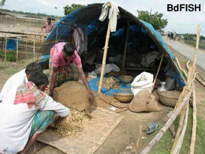 Fish Drying and Dehydration – BdFISH Feature