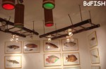 Institute Profile: Fish Museum and Biodiversity Center, BAU – BdFISH ...