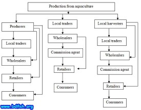 Marketing Channel of Some Major Fish Groups in Fish Markets of Rajshahi ...