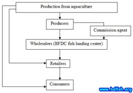 Marketing Channel of Some Major Fish Groups in Fish Markets of Rajshahi ...