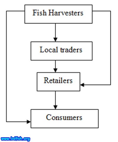 Marketing Channel of Some Major Fish Groups in Fish Markets of Rajshahi ...