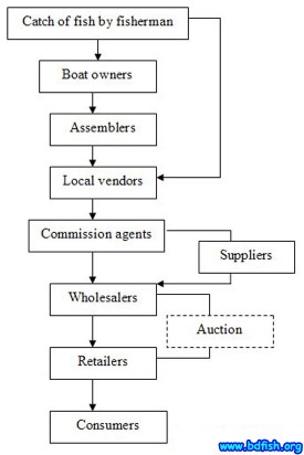 Marketing Channel of Some Major Fish Groups in Fish Markets of Rajshahi ...