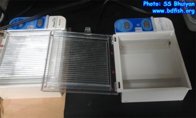 In situ hybridization (ISH) for gene identification and function: Part-I – BdFISH Feature