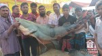 Poradaha Fish Fair 2013 – BdFISH Feature